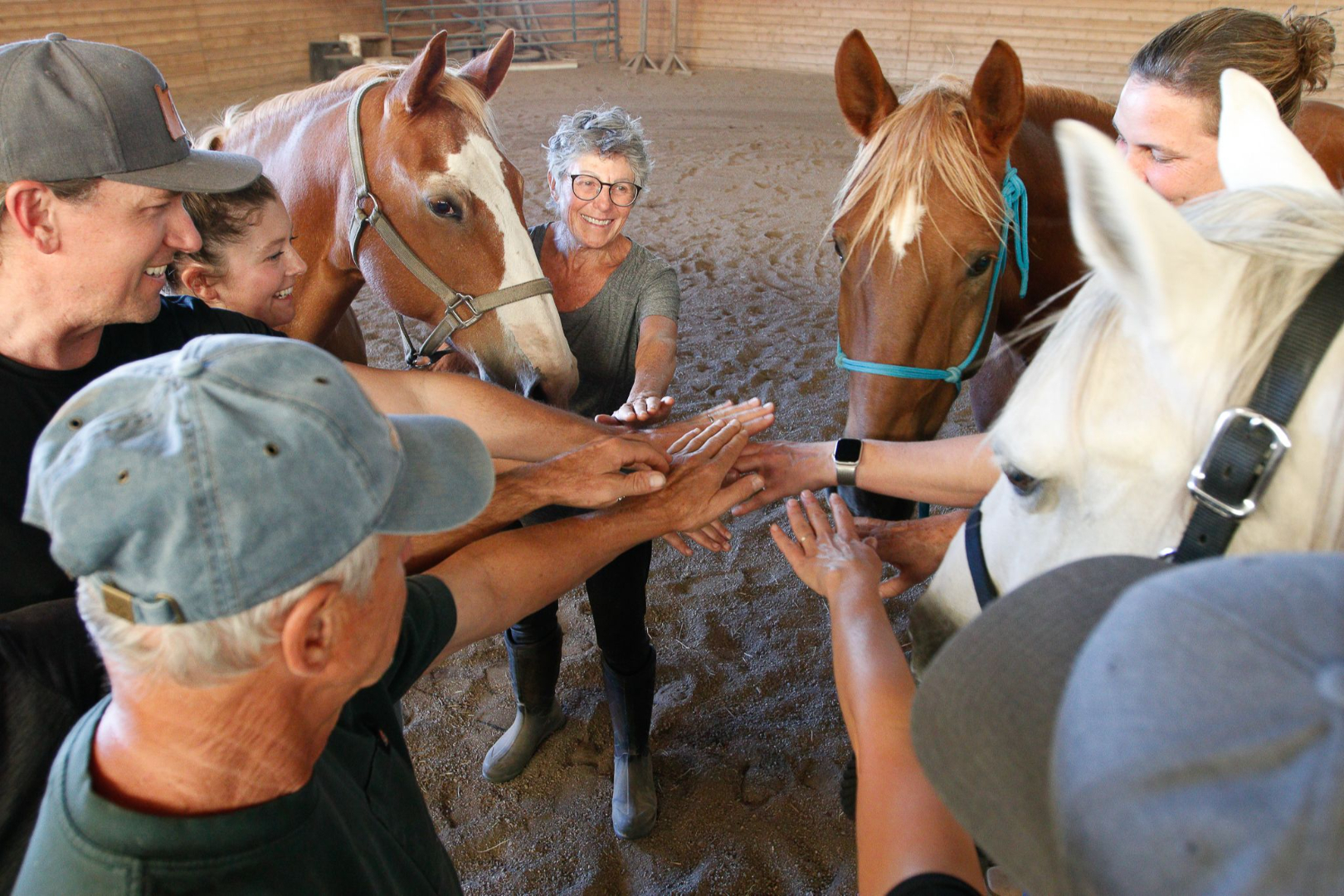 Equine-Assisted Therapy and Mentorship: A Transformative Approach for ...